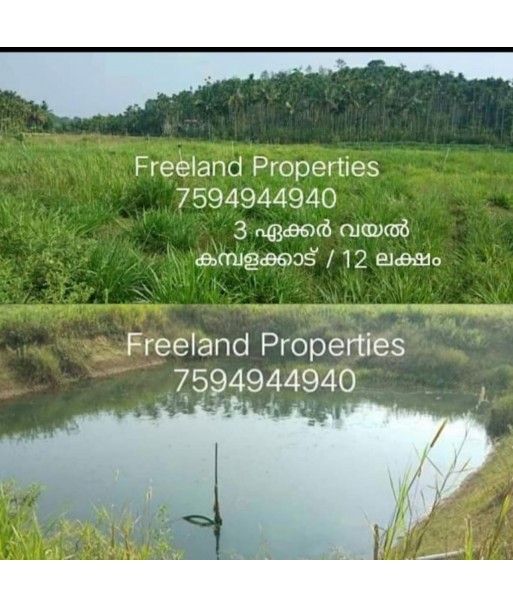 3 Acre Agricultural Land Kambalakkad
