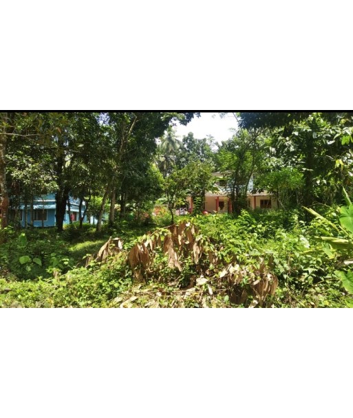 8 Cent Residential Land Omassery Calicut