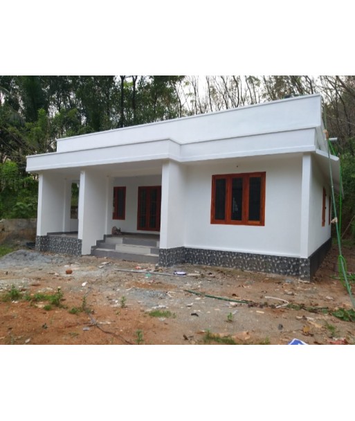 10 Cent Land 3 BHK House Engapuzha