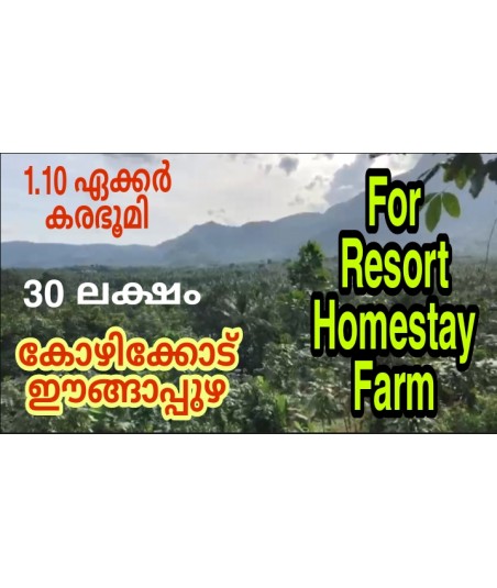 1.10 Acre Resort | Farm | Agriculture Land for Sale at Engapuzha Kozhikode