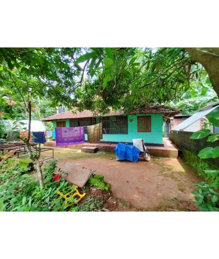 8 Cent Land 3 BHK House Vellannoor