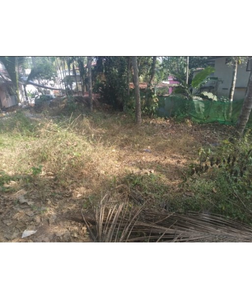 4 Cent Residential Land in Vellimadukunnu
